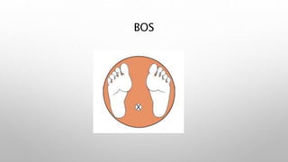 Balance Physiotherapy Assesment.pptx