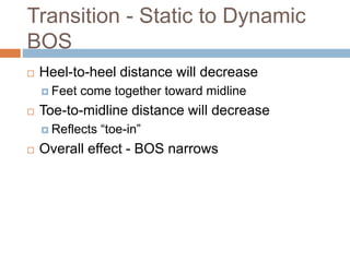 Balance and coordination in human bodies | PPTX