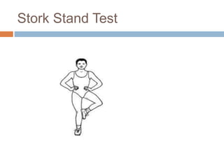 Balance and coordination in human bodies | PPTX