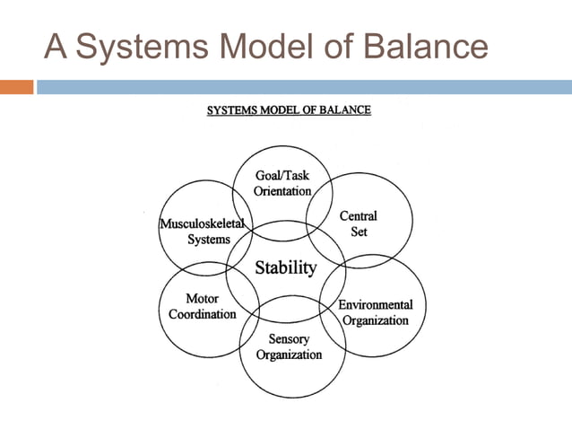 Balance and coordination in human bodies | PPTX | Physical Therapy ...