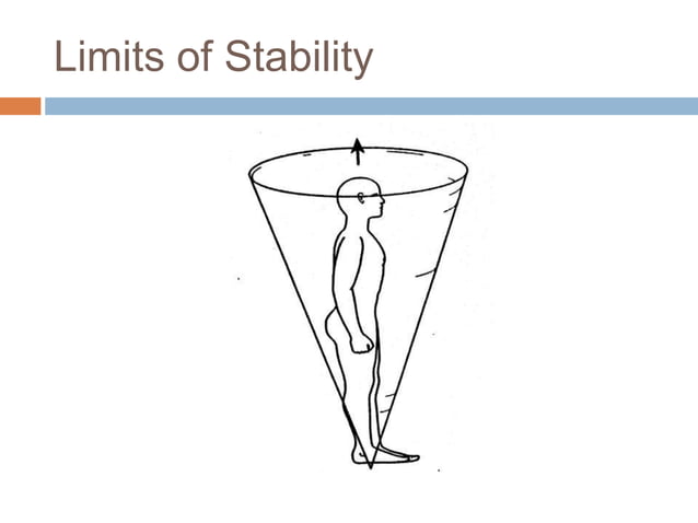 Balance and coordination in human bodies | PPTX | Physical Therapy ...
