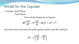Balance - Amirhashem.pptx | Brain and Nervous System Disorders ...