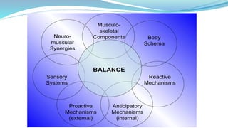 Balance - Amirhashem.pptx