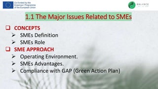 BALANCE Green SMEs | PPTX | Green Solutions | Business