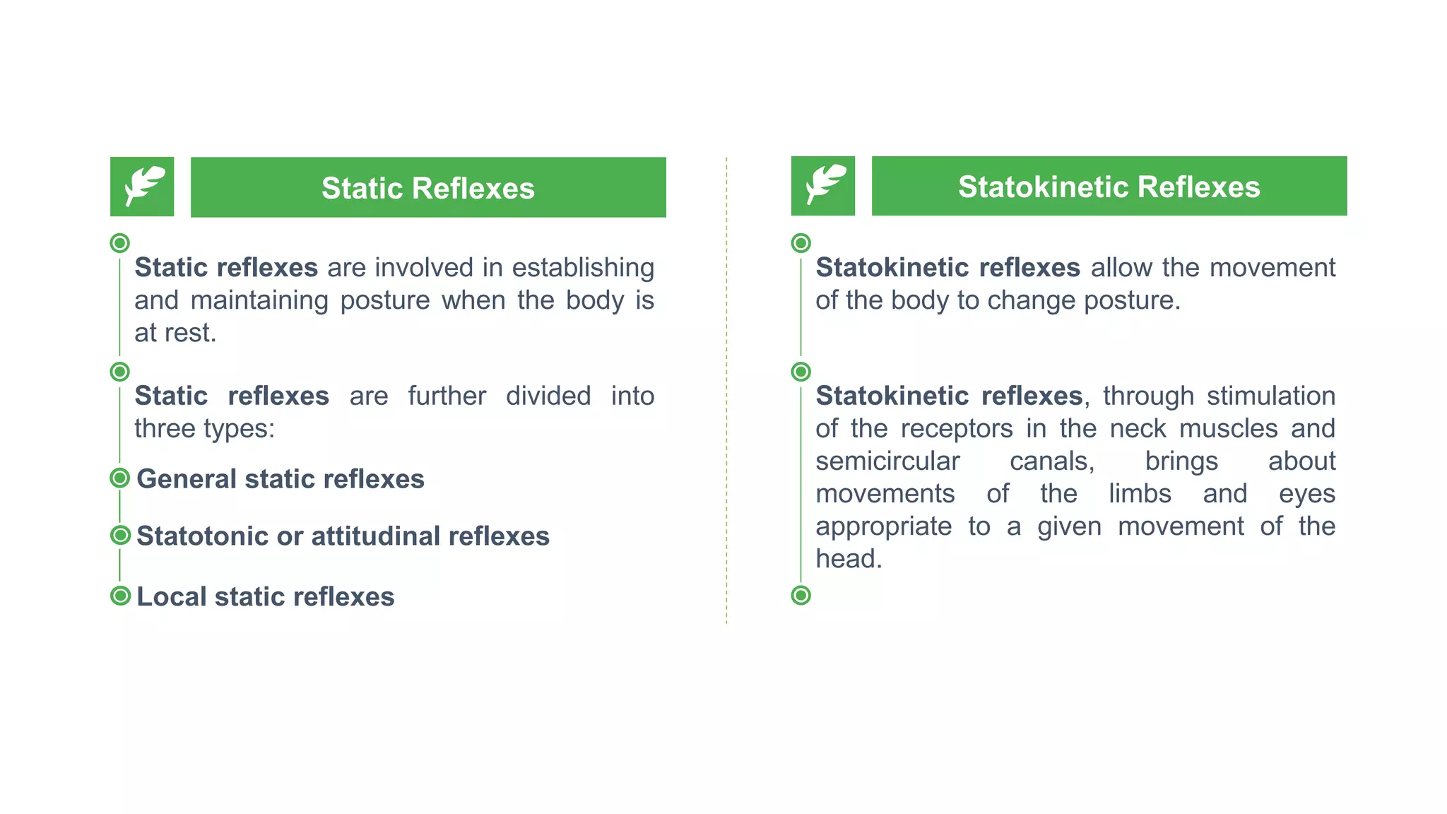 Balance and posture along with Vestibular System | PPTX