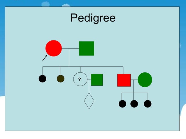 Balanced Translocation | PPT | Pregnancy | Reproductive Health