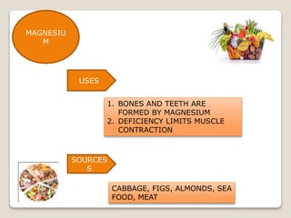 Balanced diet | PPTX