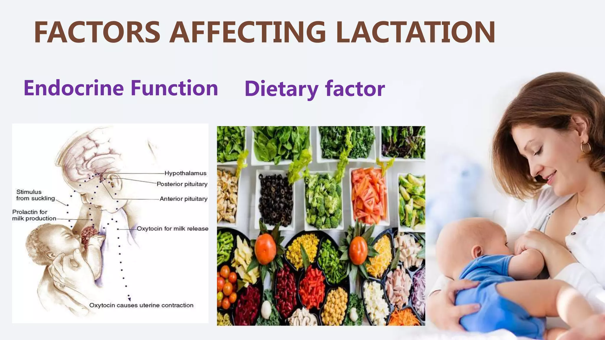Balanced diet for a lactating mother | PPTX