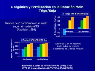 Balance De Nutrientes Apresid | PDF