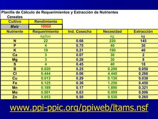 Balance De Nutrientes Apresid | PDF
