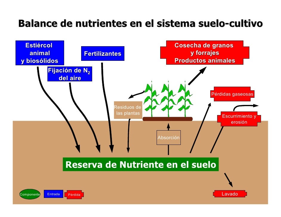 Balance De Nutrientes Apresid