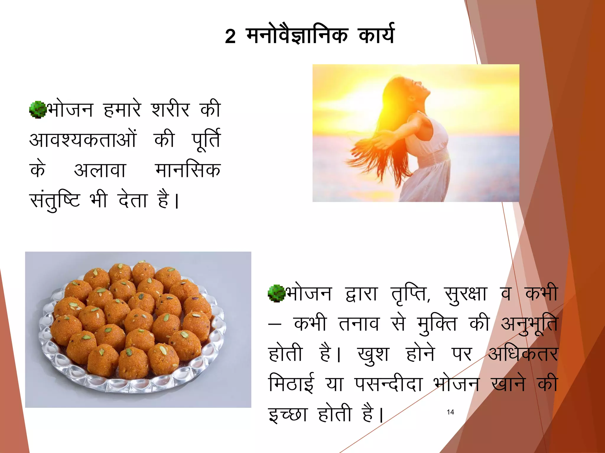 Balance diet hindi copy | PDF