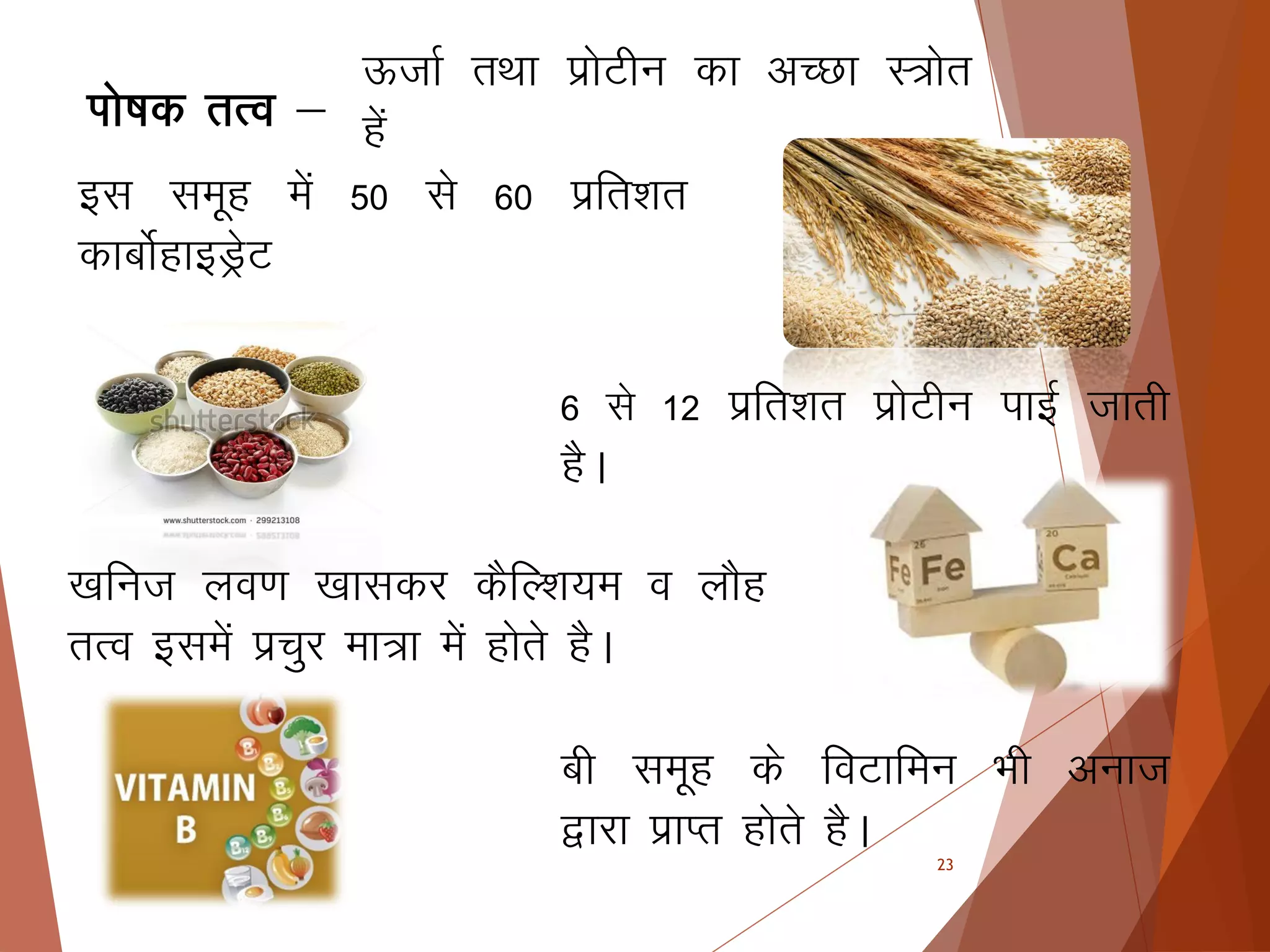 Balance diet hindi copy | PDF