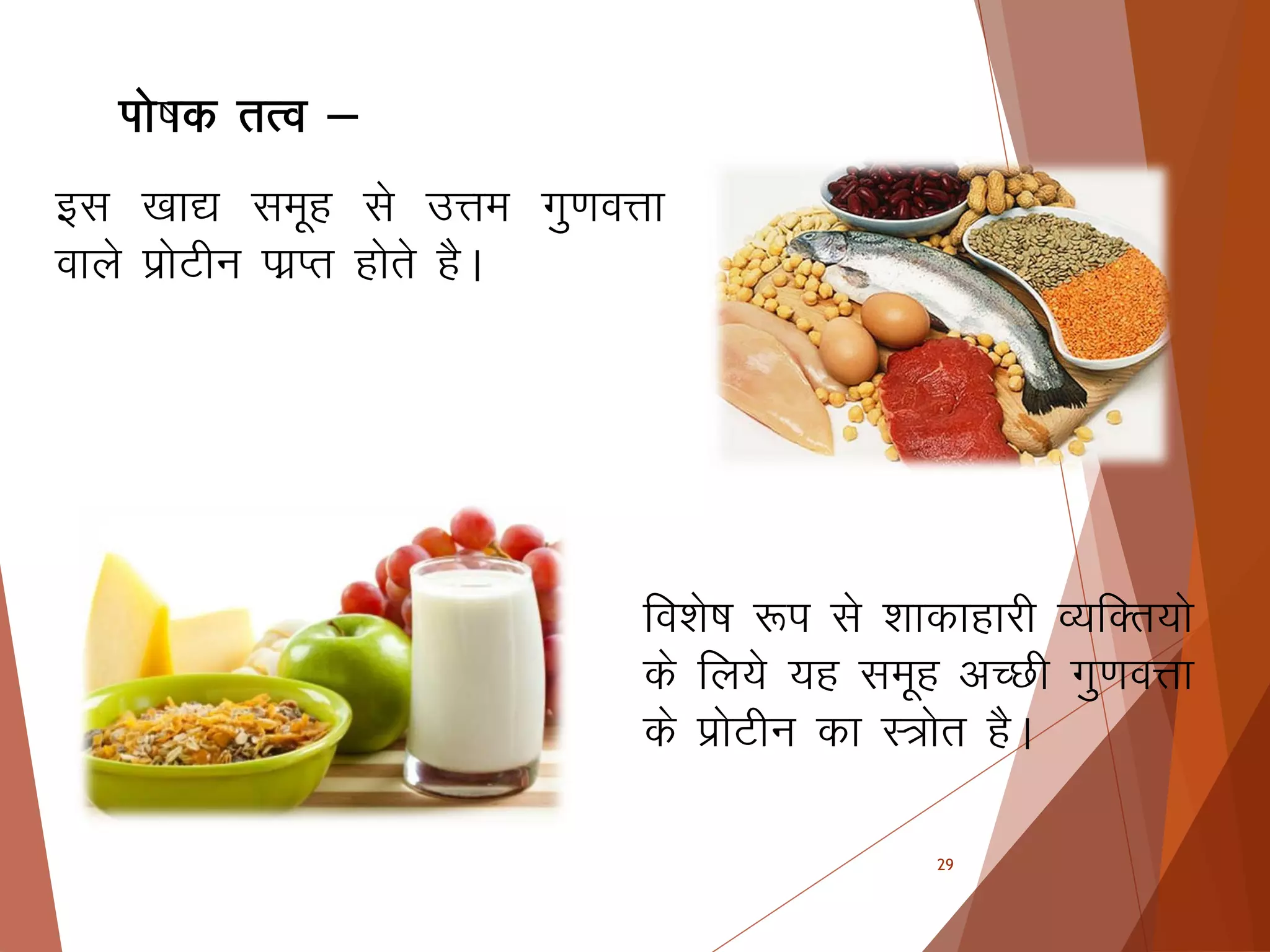 Balance diet hindi copy | PDF