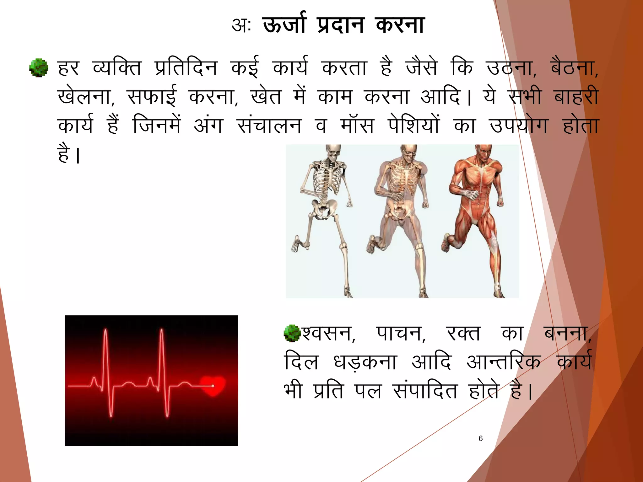 Balance diet hindi copy | PDF