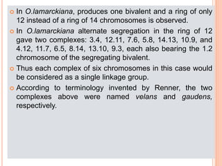 Balanced lethal system | PPTX