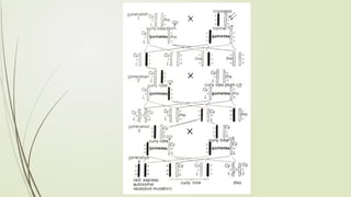 BALANCED LETHAL SYSTEM and its utility.pptx