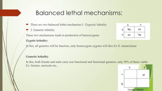 BALANCED LETHAL SYSTEM and its utility.pptx