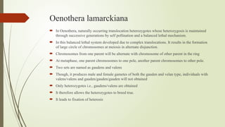 BALANCED LETHAL SYSTEM and its utility.pptx