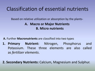 Balanced nutrition | PPTX