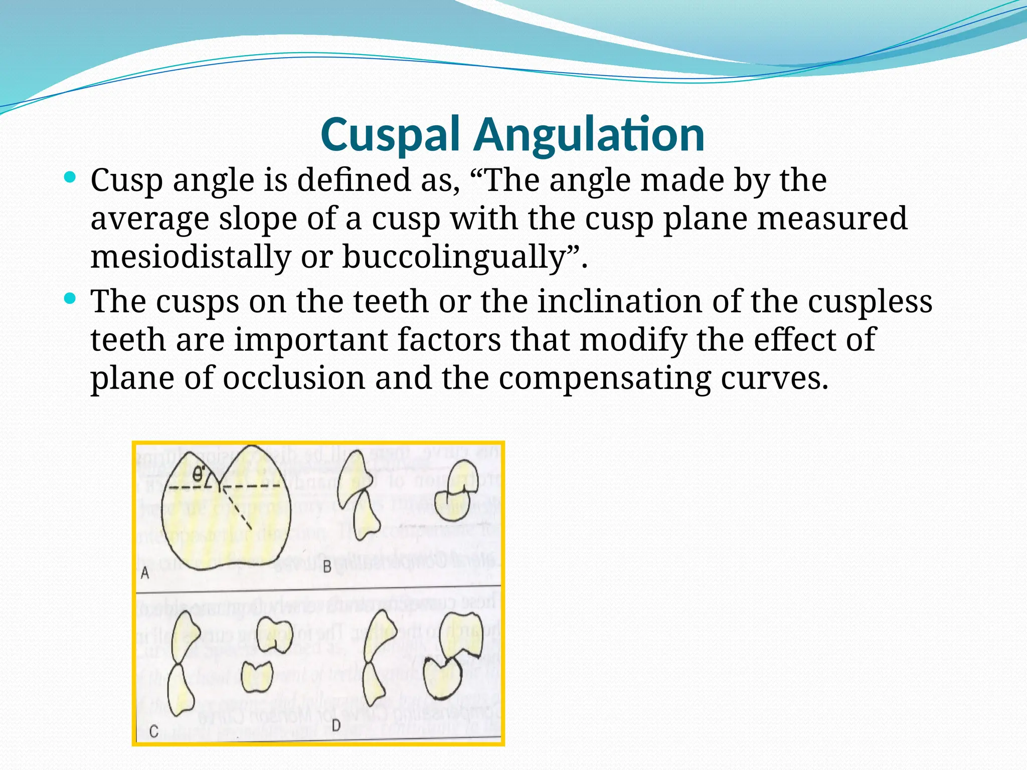 balanced occlusion 4th yr - Copy.jkhuihpptx | PPTX