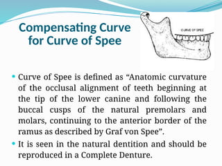 balanced occlusion 4th yr - Copy.jkhuihpptx | PPTX
