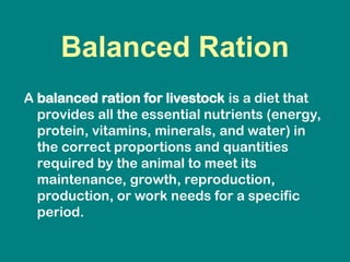 Balanced Ration for Bucks Balanced Ration for Bucks.ppt
