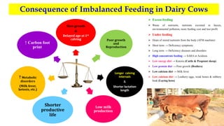 balancedrationsureshkhjkjhadkhkhkhldakhlkhlgk | PDF