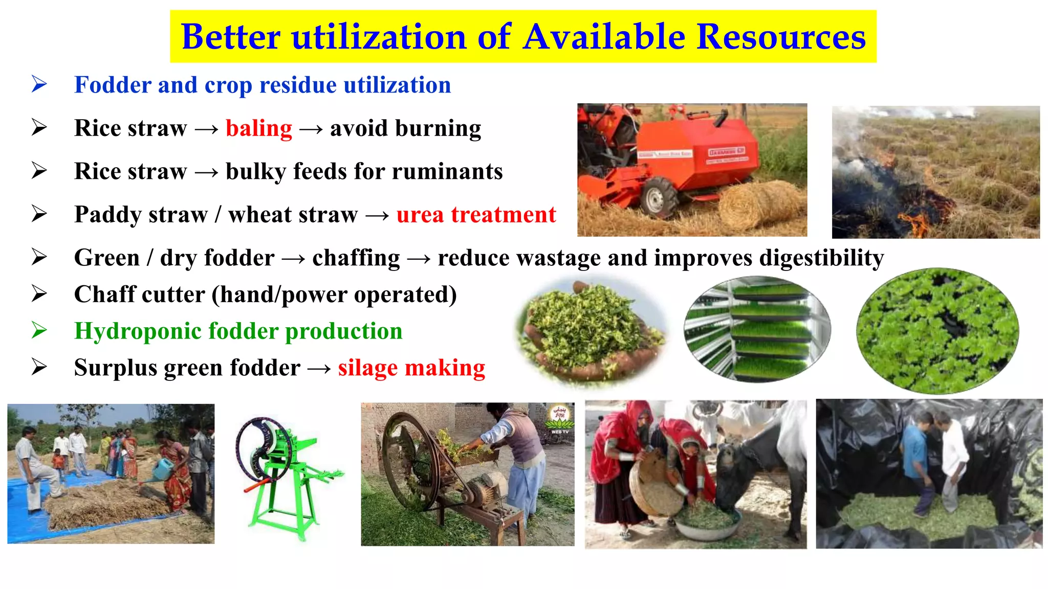 Balanced ration suresh | PPT