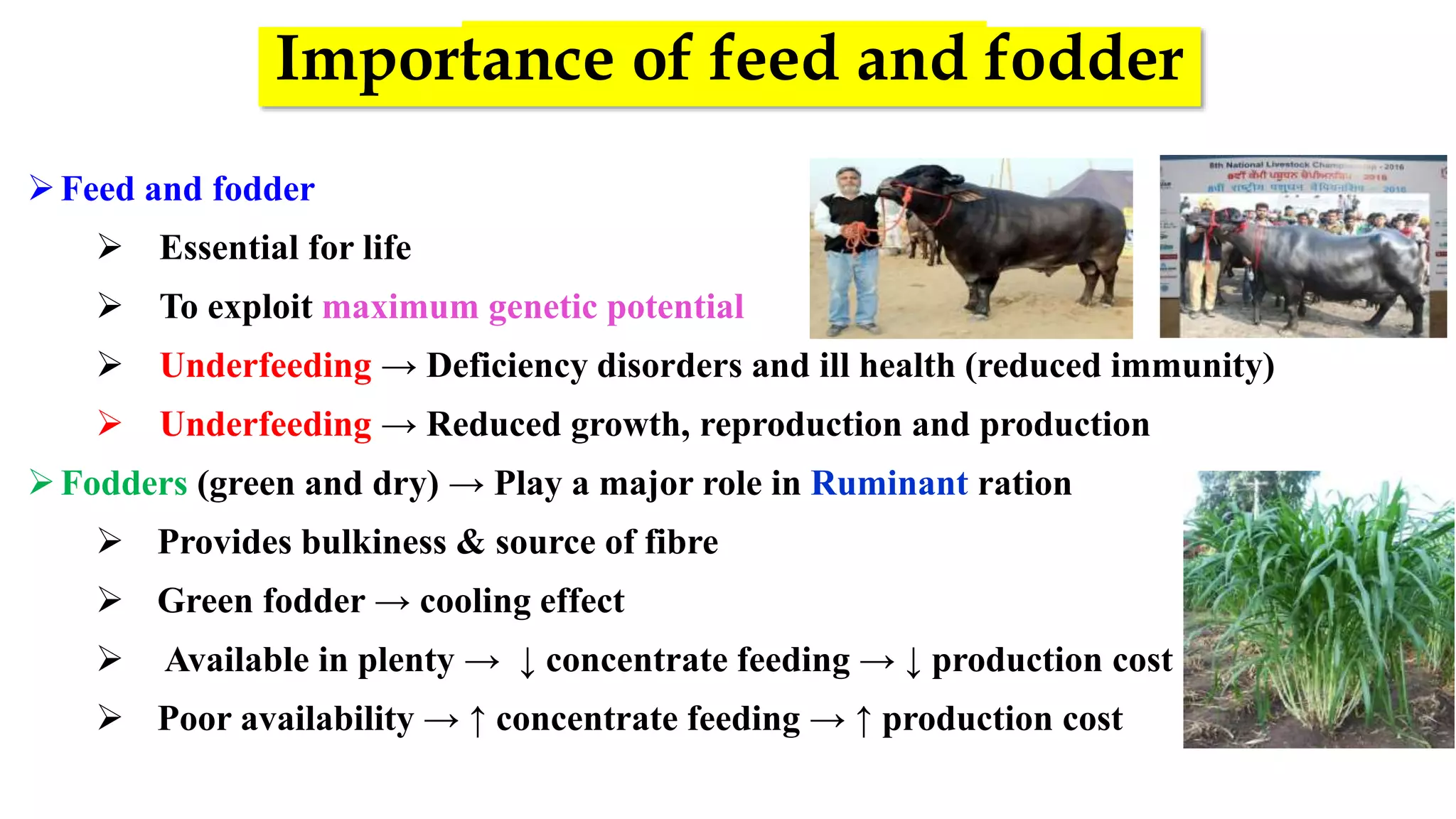 Balanced ration suresh | PPT