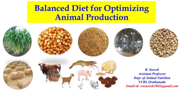 Balanced ration suresh | PPT | Agriculture | Industries