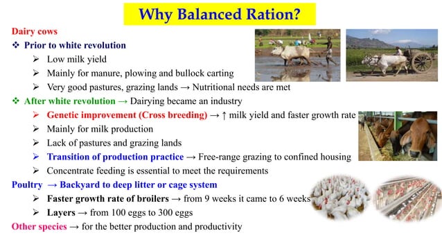 Balanced ration suresh | PPT | Agriculture | Industries