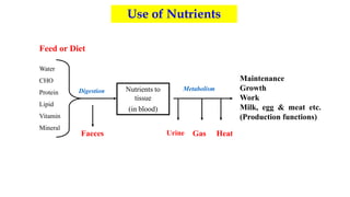 Balanced ration suresh | PPT