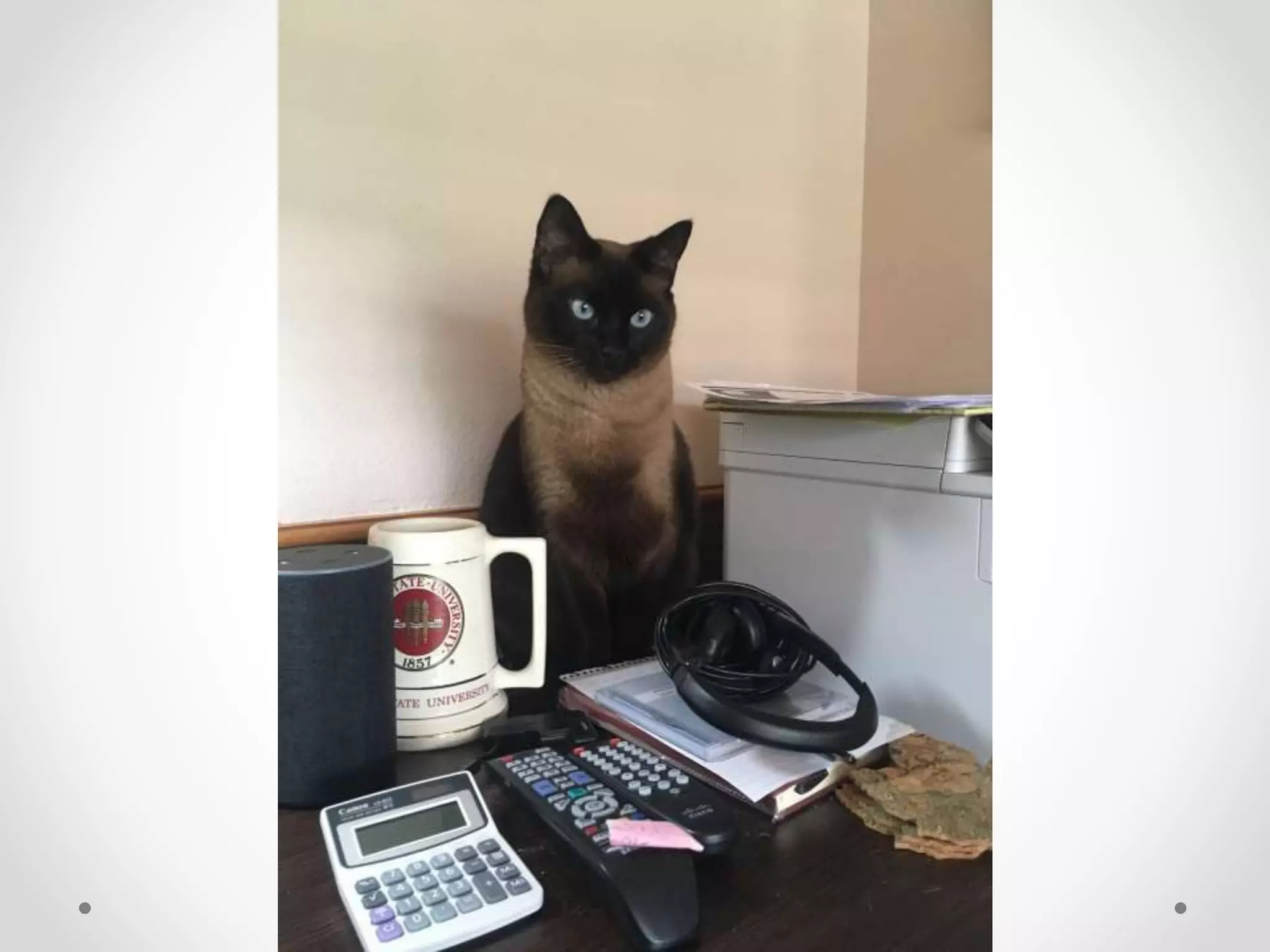 Balanced scorecard presentation for frpa draft | PPT