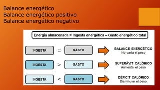 Balance energético.pptx