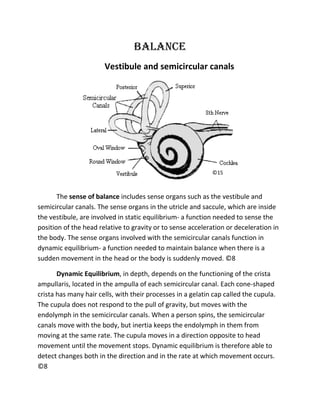 Balance for artifact | PDF