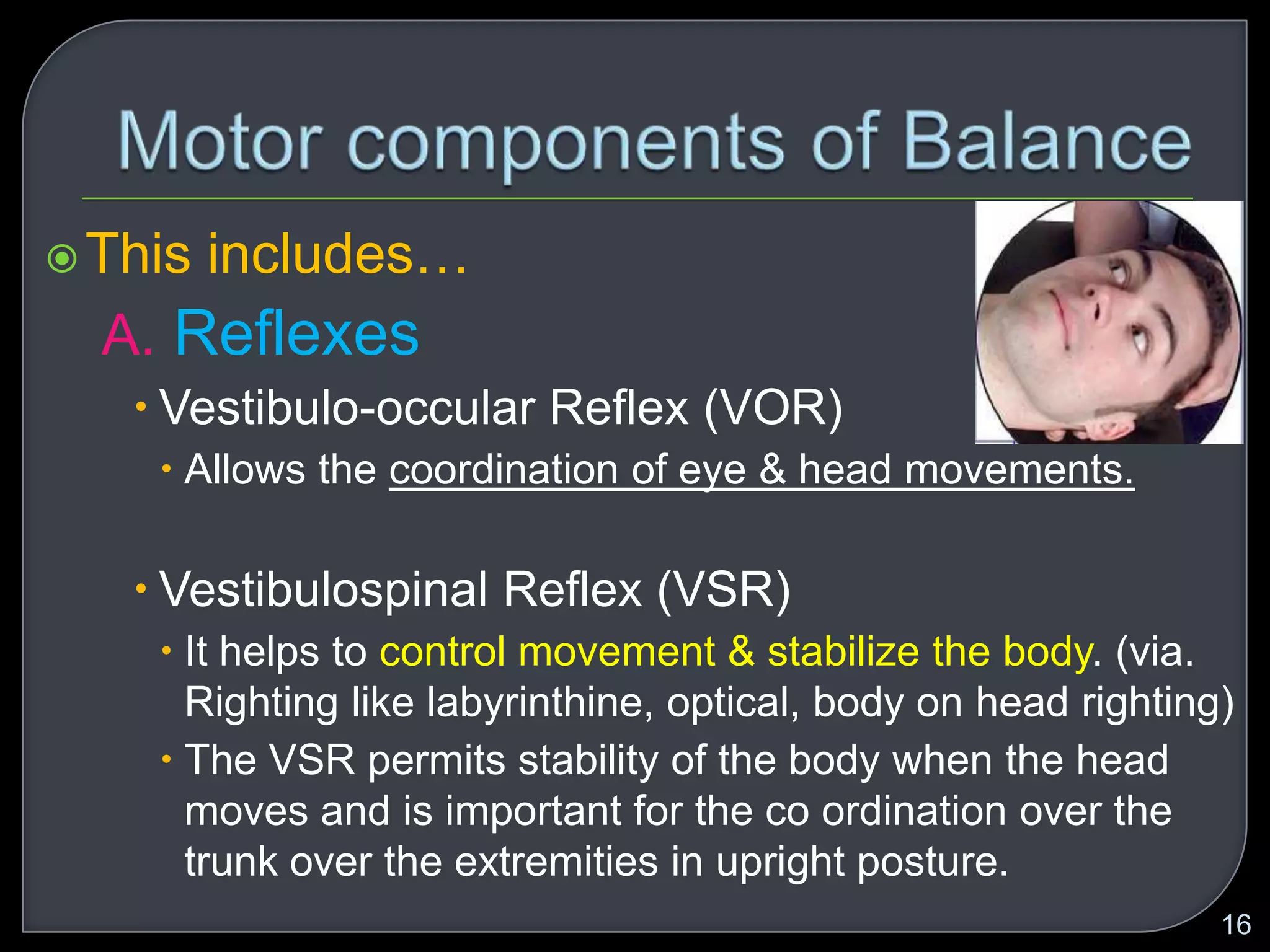 Balance in elderly | PPTX