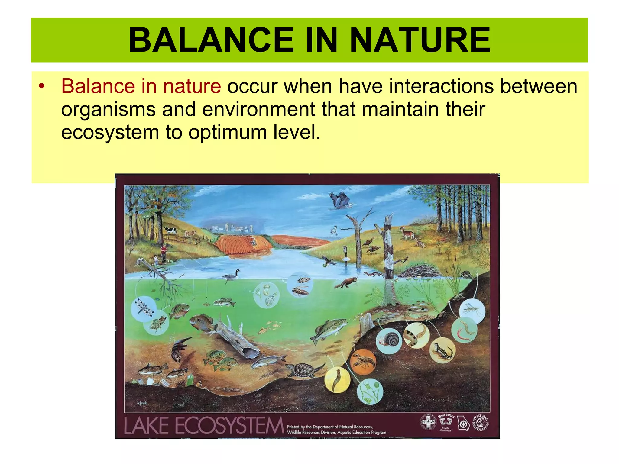 Balance in nature | PPT