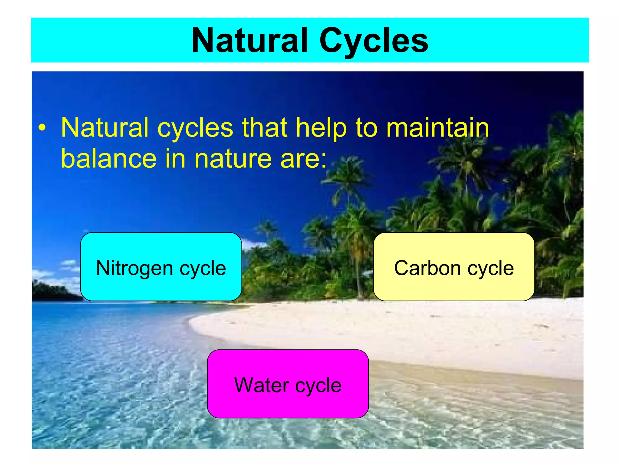 Balance in nature | PPT