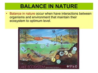 Balance in nature | PPT