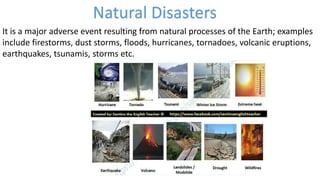 Balance of Nature - Ecosystems.pptx