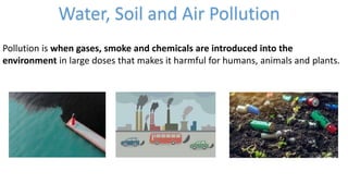 Balance of Nature - Ecosystems.pptx