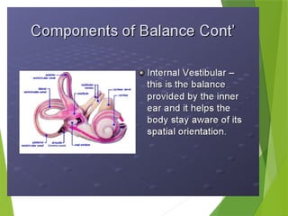 BALANCE PPT- Definition, Types, causes of impaired balance | PPTX