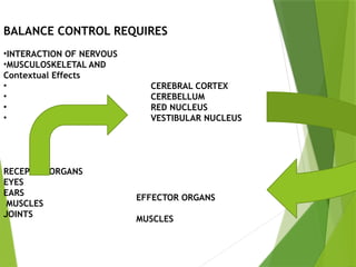 BALANCE PPT- Definition, Types, causes of impaired balance | PPTX