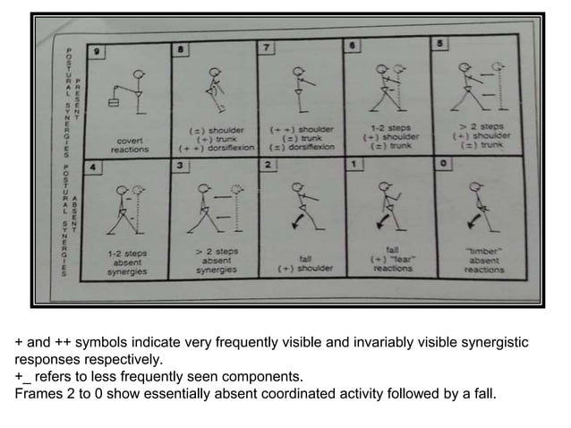 BALANCE ASSESSMENT .pptx | Physical Therapy | Wellness