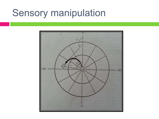 BALANCE ASSESSMENT .pptx | Physical Therapy | Wellness