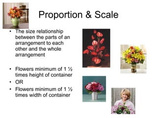 Balance & Round Vertical | PPT