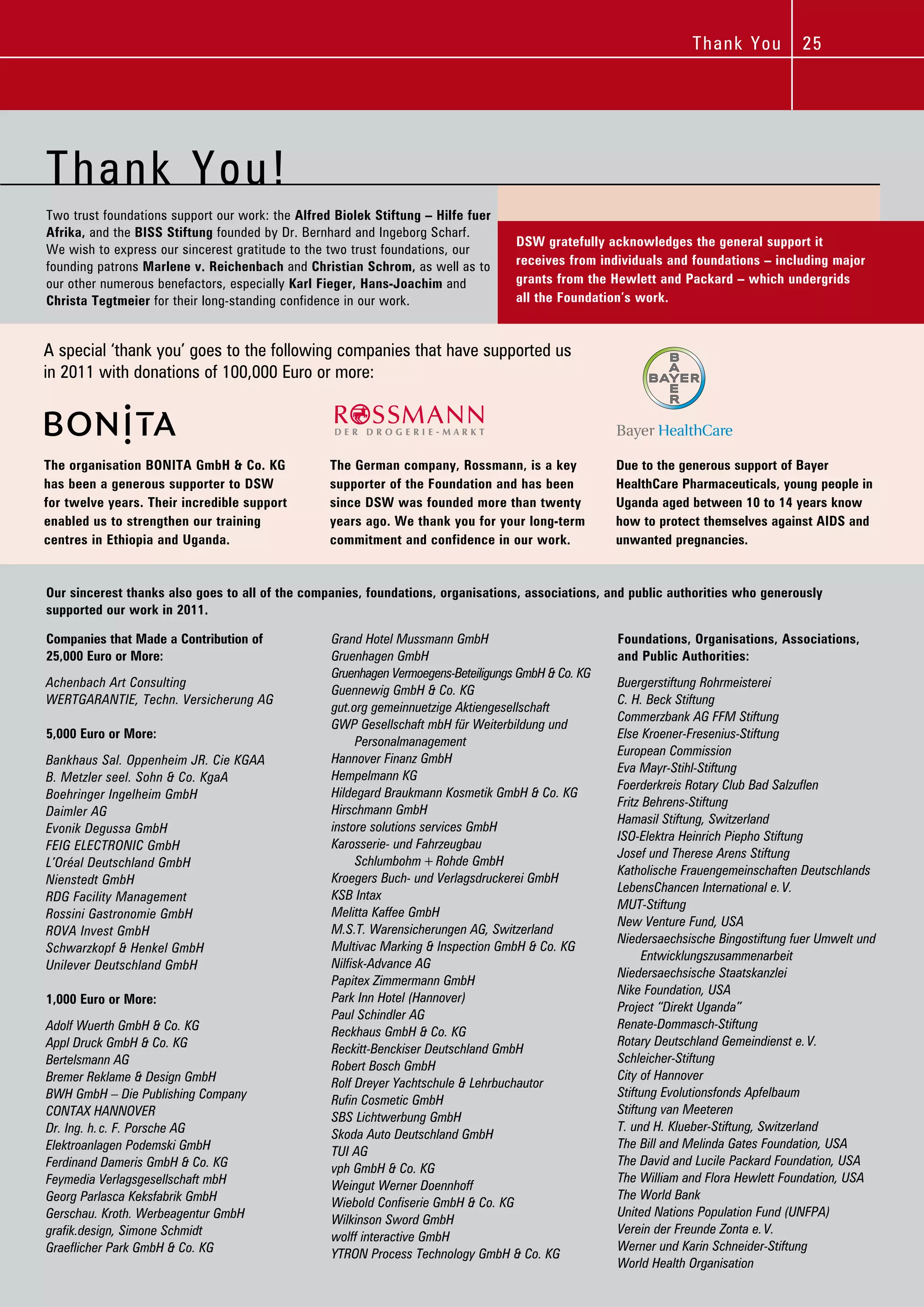 Balance sheetandprojectoverview new | PDF