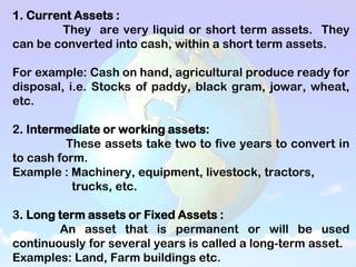 Balance sheet & income statement | PDF