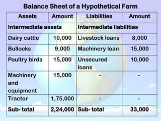 Balance sheet & income statement | PDF